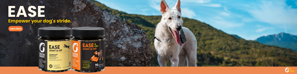 Green Gruff Dog Chews For Total Dog Health