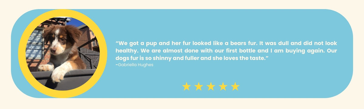 Green Gruff Dog Chews For Total Dog Health