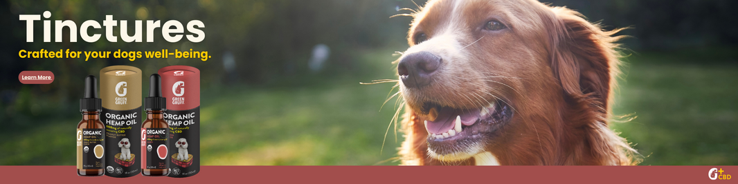 Green Gruff Dog Chews For Total Dog Health