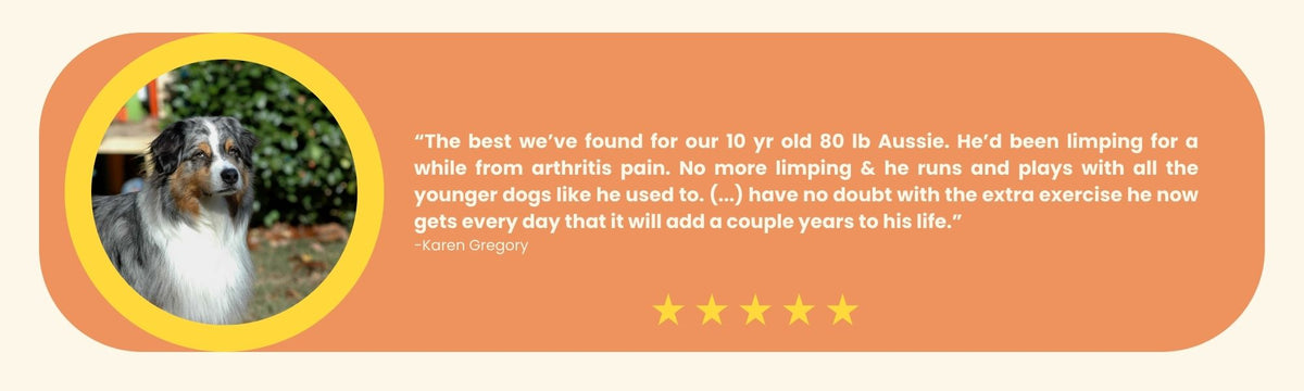 Green Gruff Dog Chews For Total Dog Health