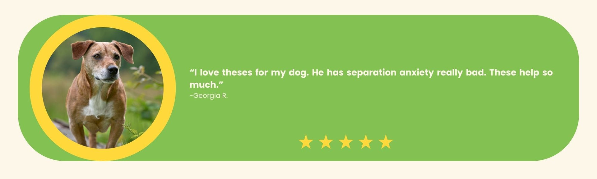 Green Gruff Dog Chews For Total Dog Health