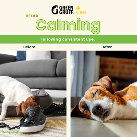 RELAX Calming Mood Support CBD Dog Chews – Green Gruff