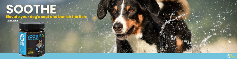 Green Gruff Dog Chews For Total Dog Health